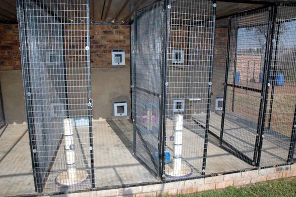 How to choose a Cattery - British Cattery Directory