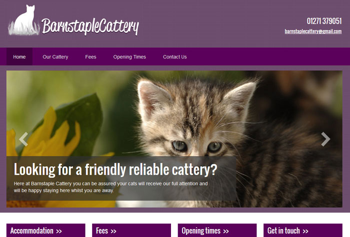 Barnstaple Cattery - British Cattery Directory