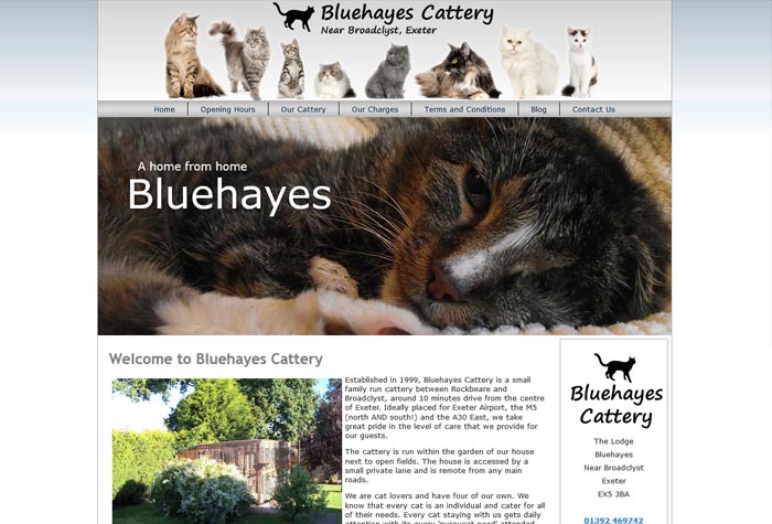 Bluehayes Cattery - British Cattery Directory