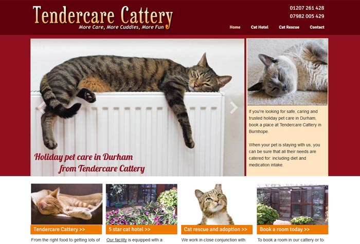 Tendercare Cattery - British Cattery Directory