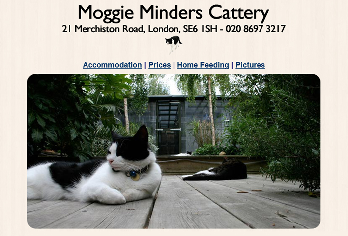 Moggie Minders Cattery - British Cattery Directory