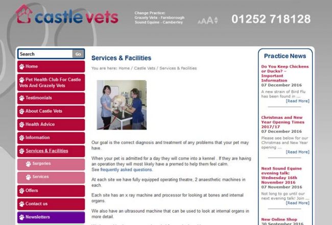 Castle Vets - Farnham