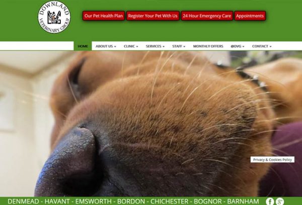 Downland Veterinary Group - Denmead