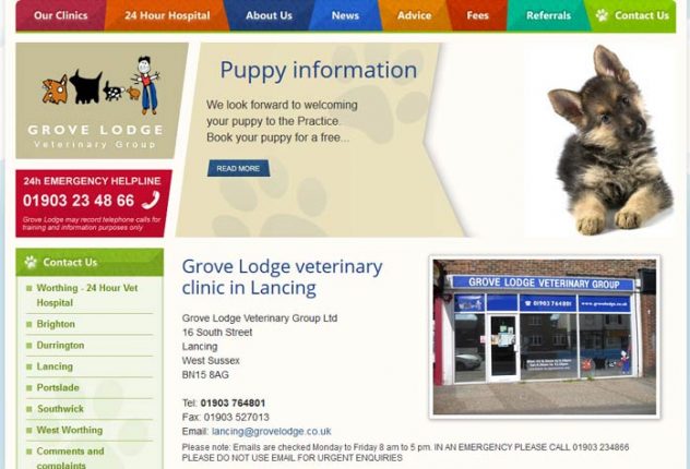 Grove Lodge Vets - Lancing