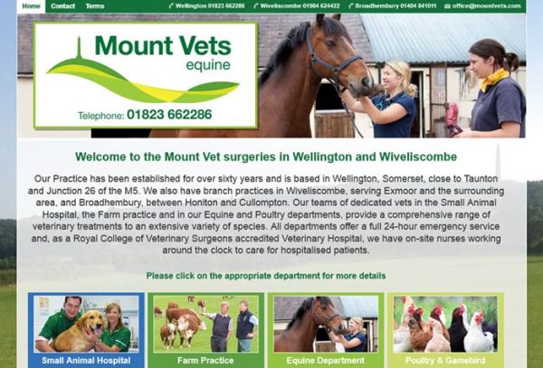 Mount Vet Surgery - Wellington