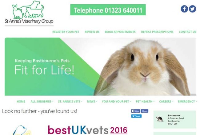 St. Annes Veterinary Group - Eastbourne