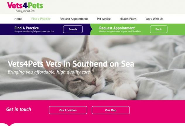 Vets4Pets Group - Southend-On-Sea