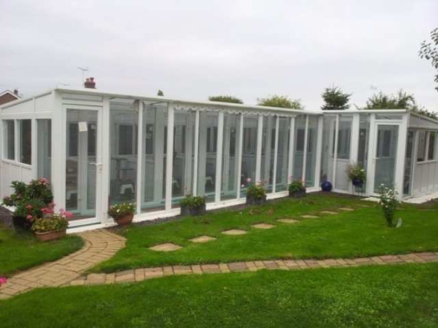 Cat Willows Boarding Cattery - British Cattery Directory